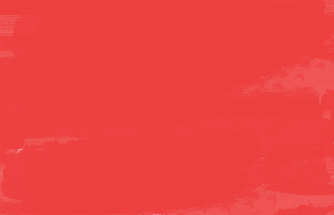 Festival Tecate Pal Norte GIFs - Get the best GIF on GIPHY