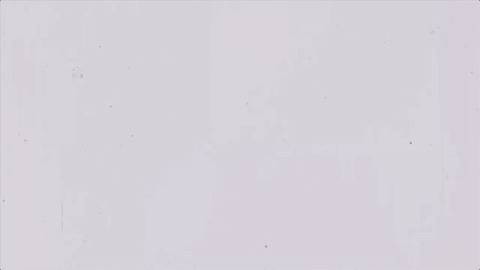 British Invasion Day GIF by The Zombies - Find & Share on GIPHY