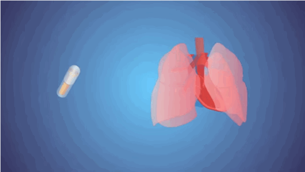 Medicine Lungs GIF by Harvard Medical School - Find & Share on GIPHY