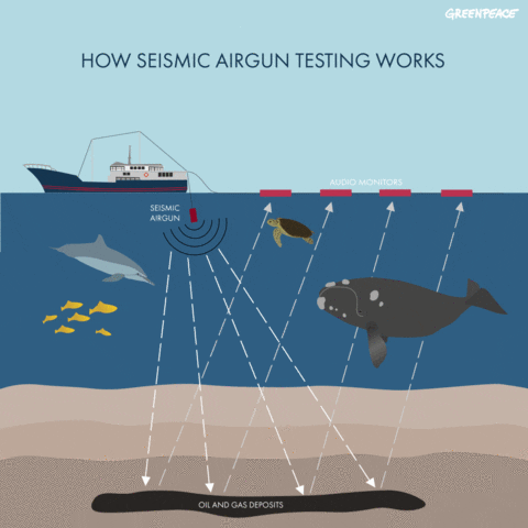 Offshore Oil Drilling GIFs - Get the best GIF on GIPHY