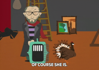 Turkey Cage GIF by South Park - Find & Share on GIPHY