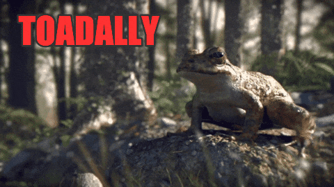totally, toad, totes, toadally – GIF