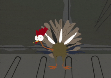 Turkey Circle GIFs - Get the best GIF on GIPHY