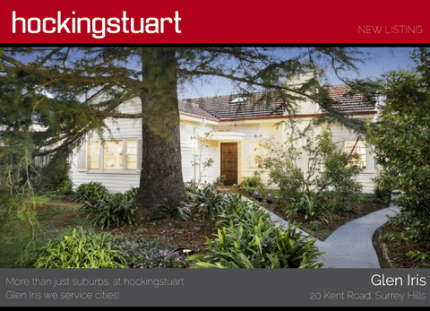 Surrey-hills GIFs - Get the best GIF on GIPHY