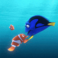 Finding Nemo Squishy Gif