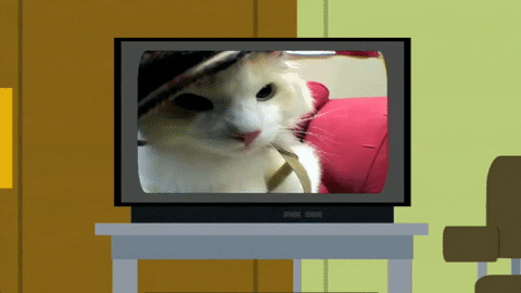 Cat Watching Tv Gif
