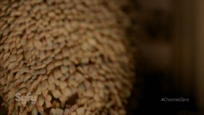 Channel Zero Teeth GIF by SYFY - Find & Share on GIPHY