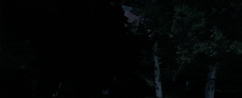 GIF by Crouching Tiger, Hidden Dragon - Find & Share on GIPHY