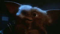 Gizmo Rambo Gif