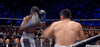 Gif De Nocaut (VIDEO) Brutal Regreso De Wilder Al Ring Con Un Nocaut