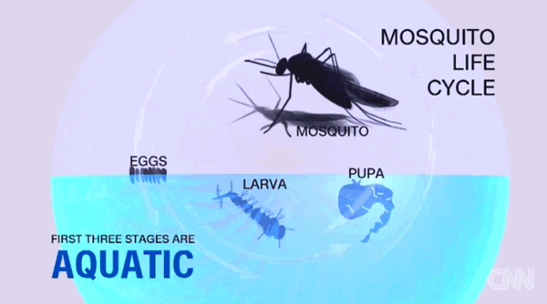 - Find & Share on GIPHY