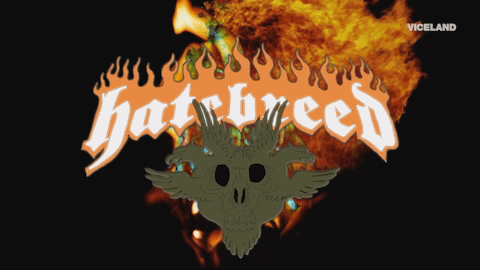 Golden Flame Hot Wings GIFs - Get the best GIF on GIPHY
