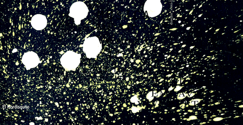 EmiLi GIFs on GIPHY - Be Animated