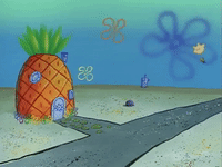 Spongebob Magic Conch Gif