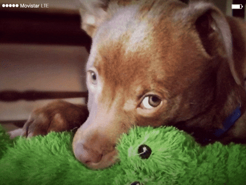 Quieres-meme GIFs - Get the best GIF on GIPHY