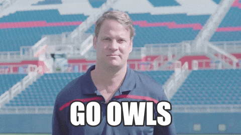 Go-owls GIFs - Get the best GIF on GIPHY