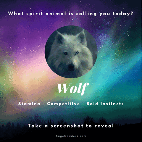Wolf-call GIFs - Get the best GIF on GIPHY