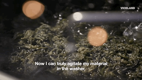 My Material GIFs - Find & Share on GIPHY