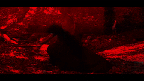 Hioshi-vava GIFs - Get the best GIF on GIPHY