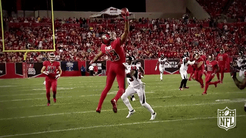 Tampa Buccaneers GIFs - Get the best GIF on GIPHY