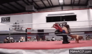 Wheelbarrow-suplex GIFs - Get the best GIF on GIPHY