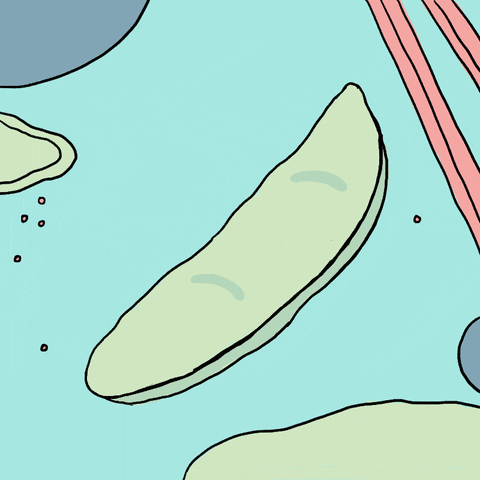 In A Pod GIFs - Get the best GIF on GIPHY