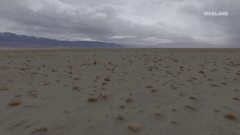 Viceland GIF by ABANDONED - Find & Share on GIPHY