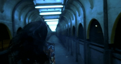 Hou Doe GIFs - Get the best GIF on GIPHY