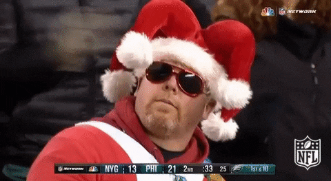 The Best Fans in the World by NFL | GIPHY