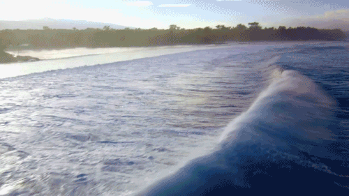 Australia GIF by Australian Survivor - Find & Share on GIPHY
