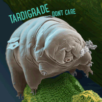 Biology Meme GIFs - Find & Share on GIPHY