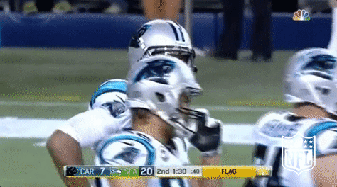 Carolina Panthers Football GIF by NFL - Find & Share on GIPHY