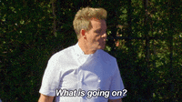 Gordon Ramsay Angry Gif