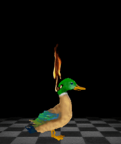 Fire Duck GIFs - Get the best GIF on GIPHY