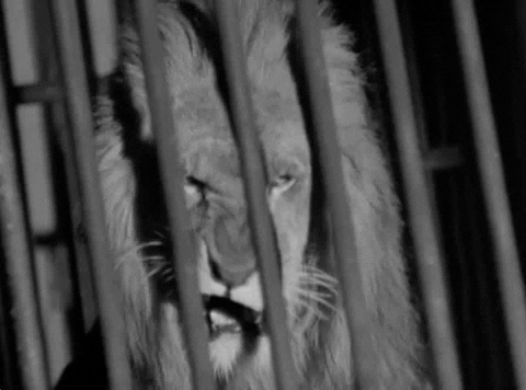 Seething Rage GIFs - Get the best GIF on GIPHY