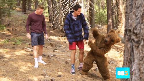 Get Away Summer GIF by @SummerBreak - Find & Share on GIPHY