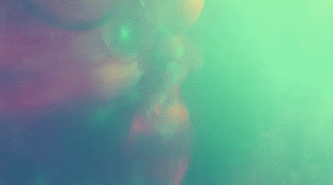 White Fang GIFs - Get the best GIF on GIPHY