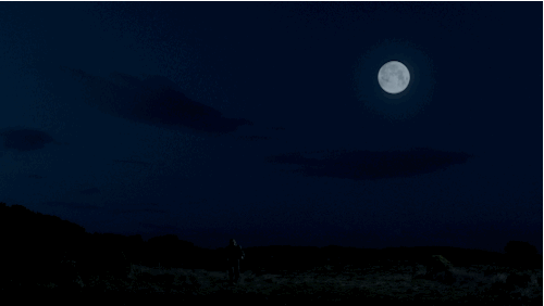Full Moon Werewolf GIF by Showtime - Find & Share on GIPHY