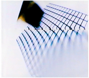 Fresnel Lens GIFs - Get the best GIF on GIPHY