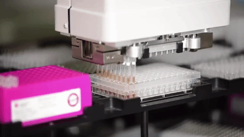 - Find & Share on GIPHY