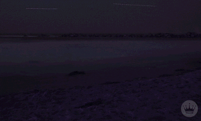 Lightwriting GIFs - Get the best GIF on GIPHY