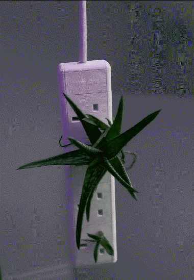New Media Plug GIF by Dominic Ewan - Find & Share on GIPHY