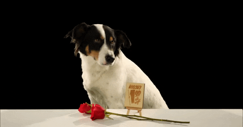 Barnaby And Phineas GIFs - Get the best GIF on GIPHY