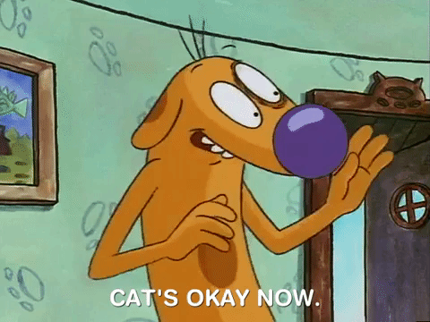 Cat Okay GIFs - Get the best GIF on GIPHY