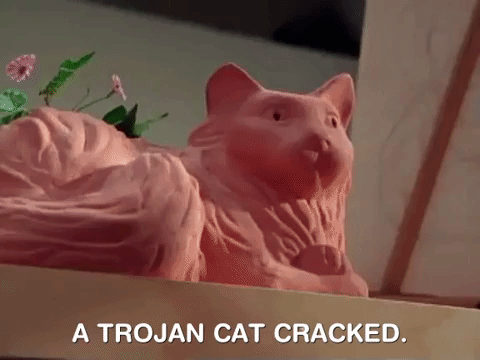Cat Crack GIFs - Get the best GIF on GIPHY