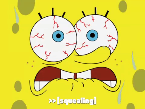 Season 6 Gullible Pants GIF by SpongeBob SquarePants - Find & Share on ...