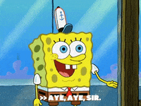 Aye Aye Captain Gif