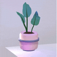 Plant Gif