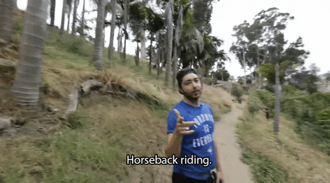 Horeseback-riding GIFs - Get the best GIF on GIPHY