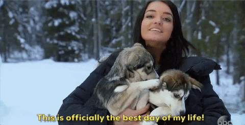 This Is Officially The Best Day Of My Life GIFs - Get the best GIF on GIPHY